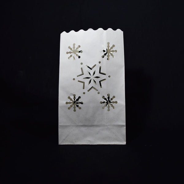Multiple Snowflake Paper Luminaries / Luminary Lantern Bags Path ...