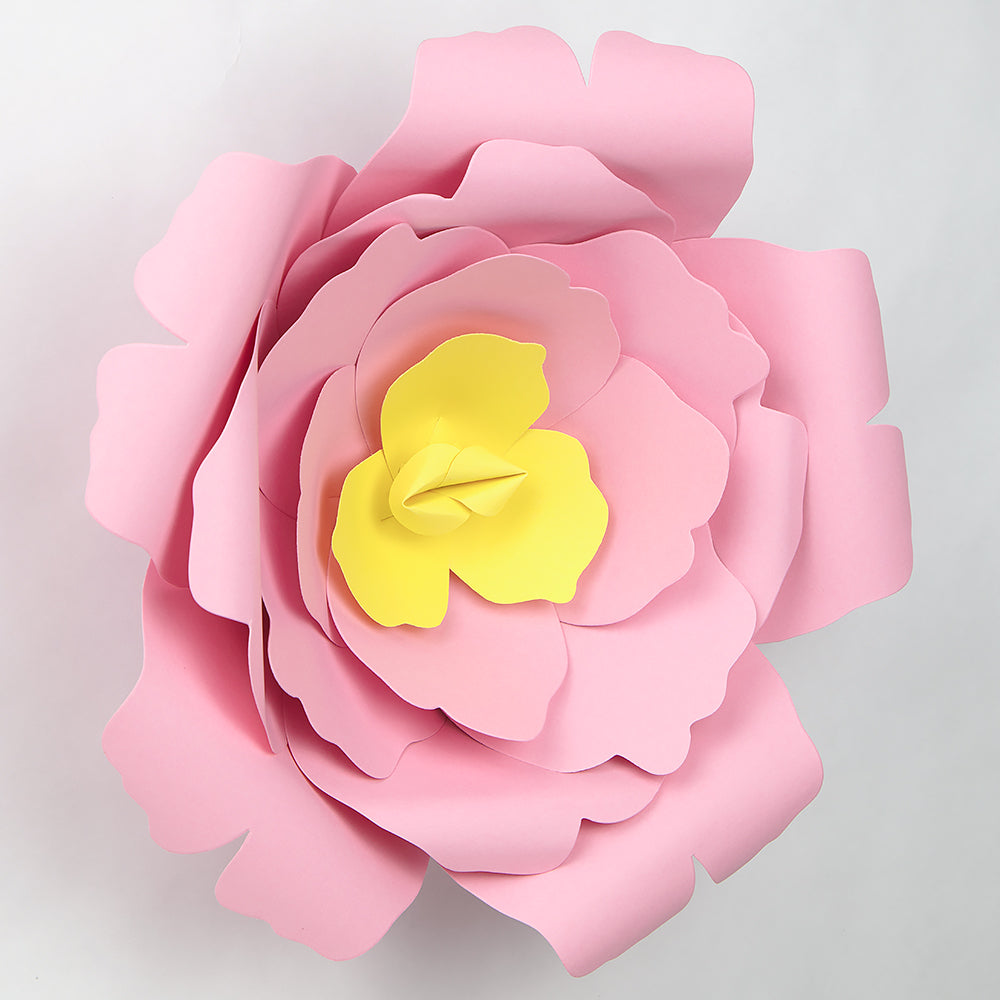 Paper Flowers Backdrop | Best Flower Site